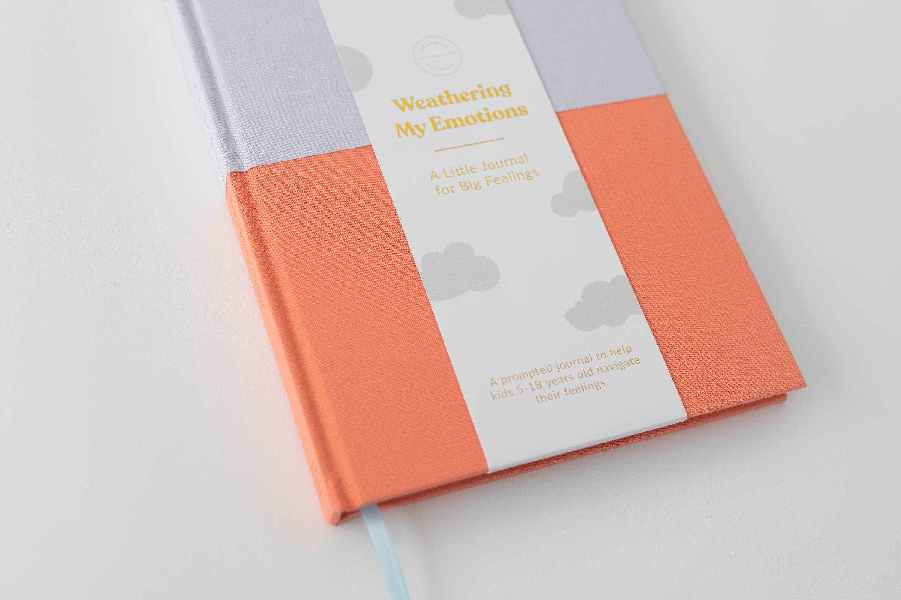 My Big Feelings Journal: Discovering and Mastering Emotions (Lavender ...