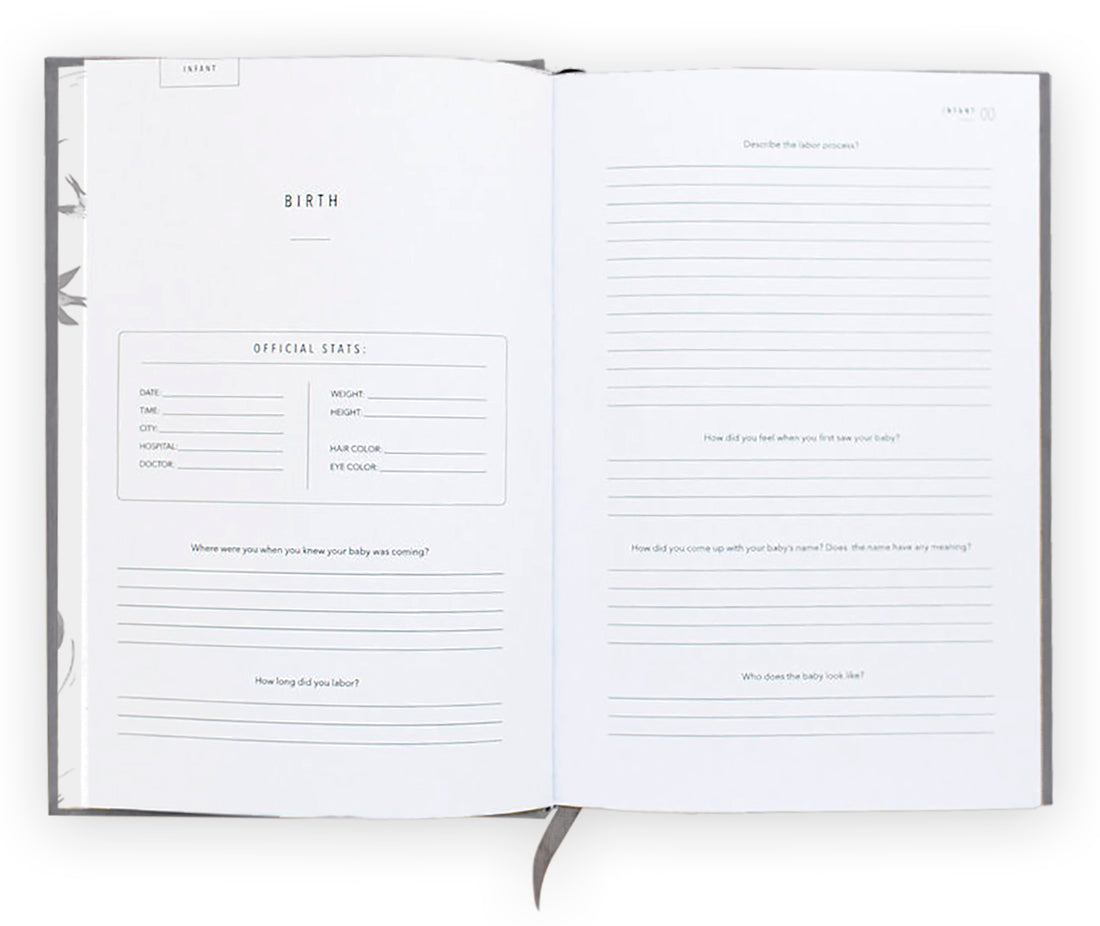 A Complete Childhood History: From Pregnancy to 18 Years Old (Dusty Bl ...