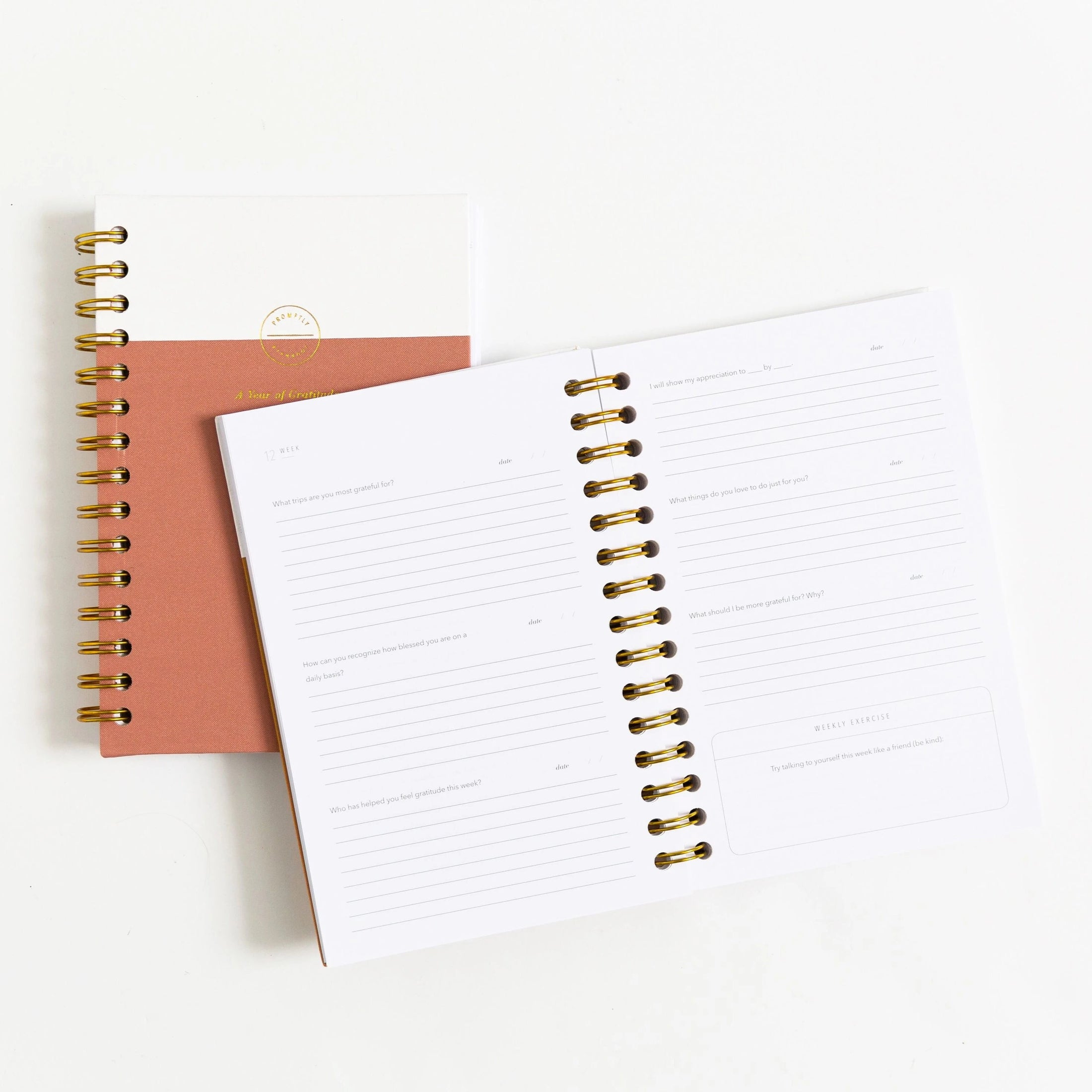Gratitude Journals - Dusty Rose – Promptly Journals